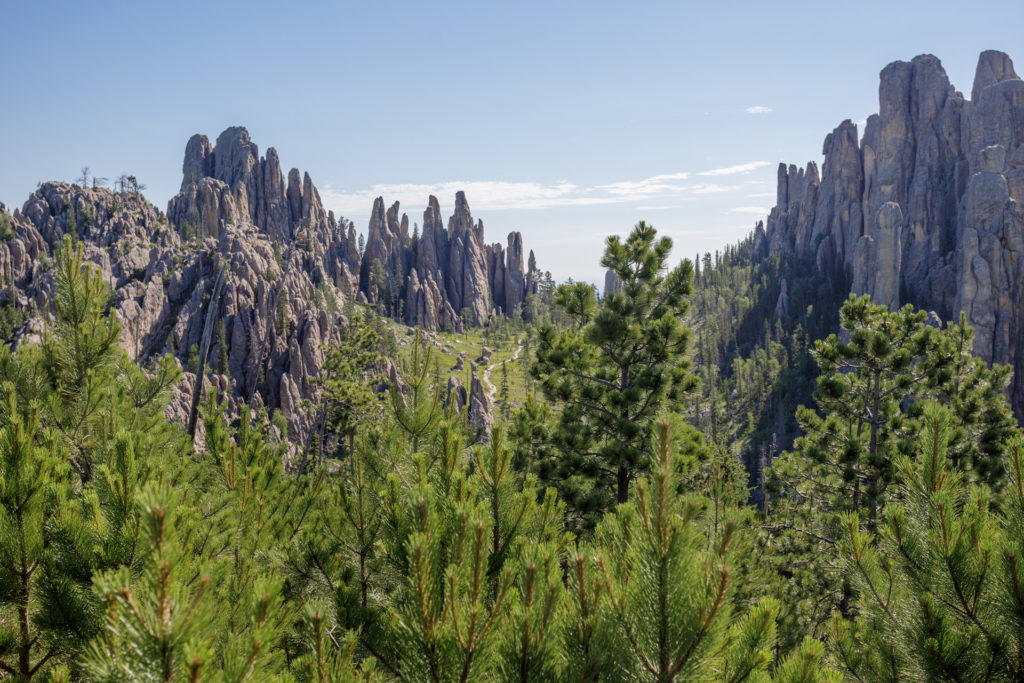 Take a Hike: Cathedral Spires – Black Hills Visitor